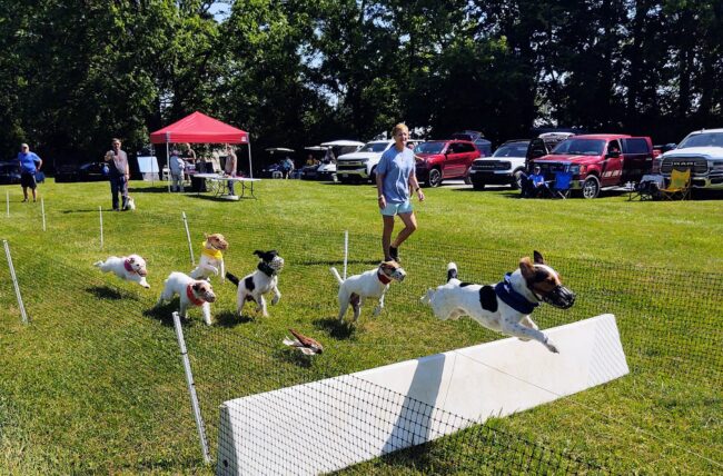 Colorado Earthdogs Inc – Colorado Earthdogs Inc A nonprofit ...