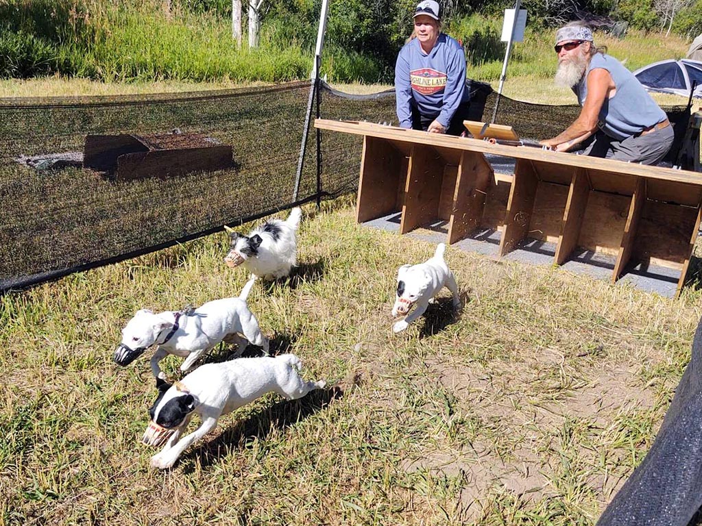 Colorado Earthdogs Inc – Colorado Earthdogs Inc. A nonprofit ...